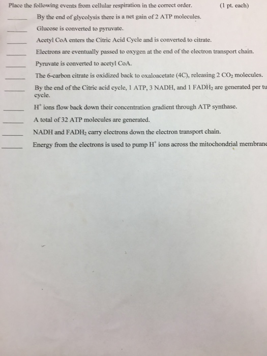 Solved Place the following events from cellular respiration | Chegg.com
