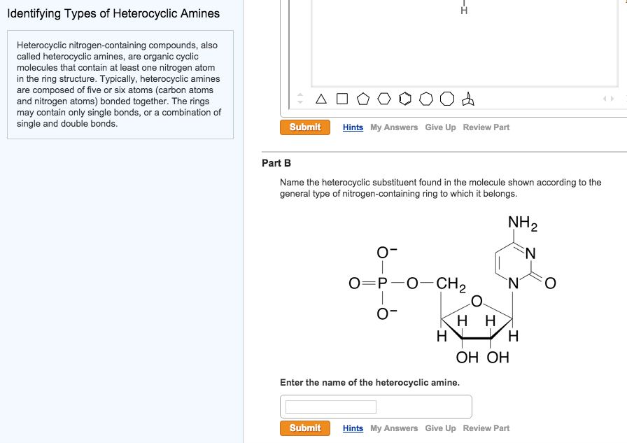 Solved Heterocyclic Amines Heterocyclic nitrogen-containing | Chegg.com