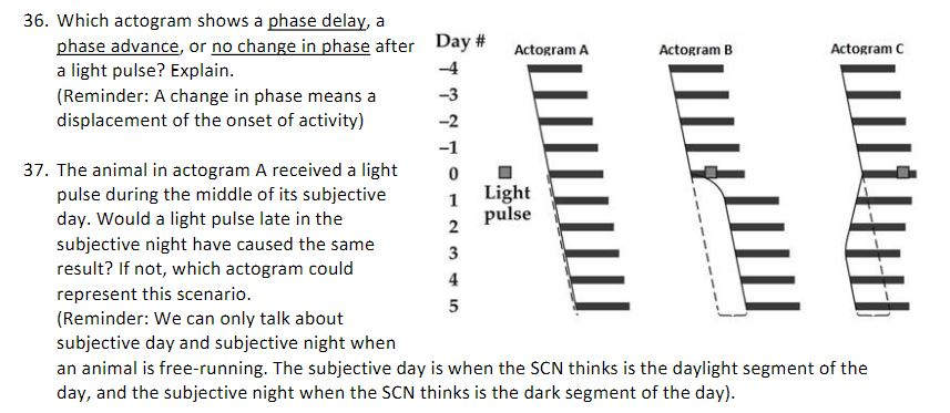 Solved 36. Which actogram shows a phase delay, a Day | Chegg.com