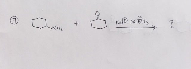 Solved NH1 | Chegg.com