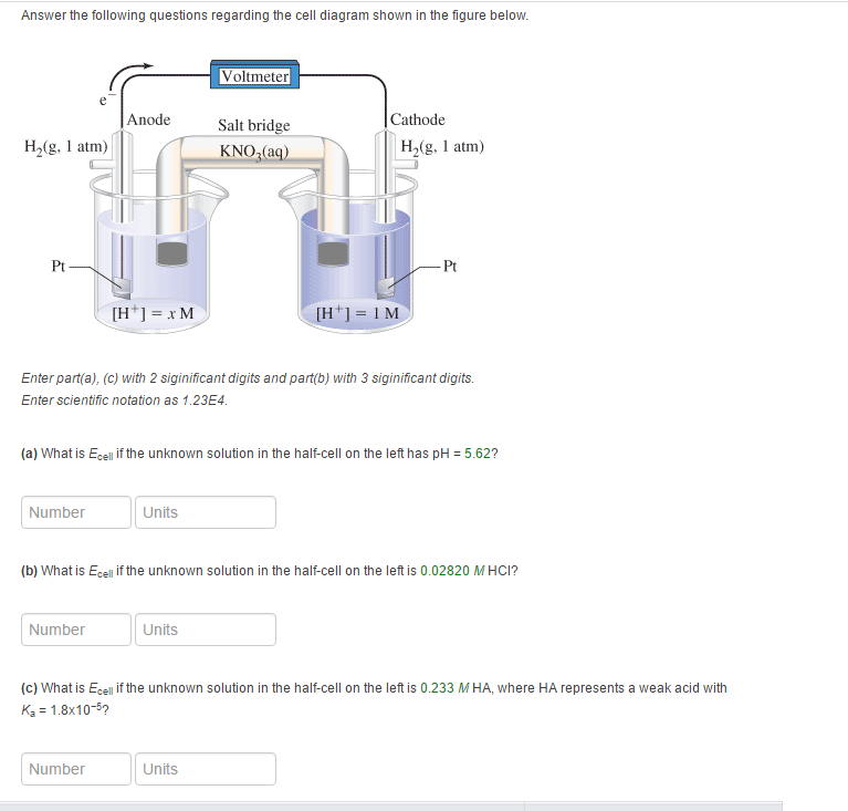 Solved Answer The Following Questions Regarding The Cell Chegg solved-answer-the-following-questions-regarding-the-cell-chegg