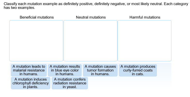 Solved Classify each mutation example as definitely | Chegg.com