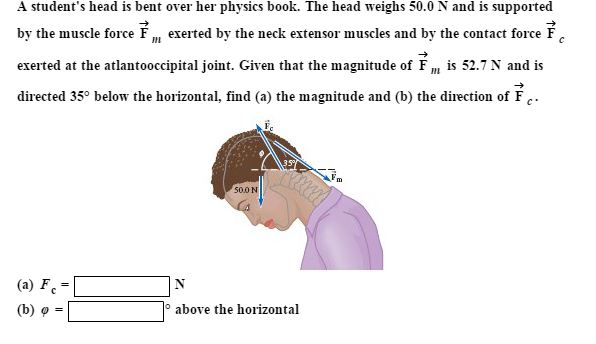 Solved A student's head is bent over her physics book. The | Chegg.com