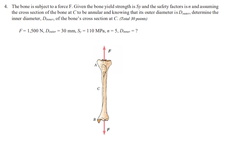 Solved 4.The bone is subject to a force F. Given the bone | Chegg.com
