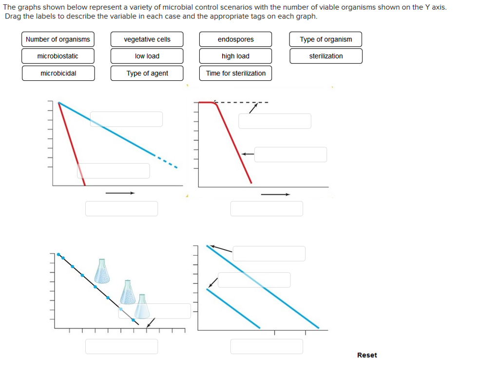 Solved The Graphs shown below represent a variety of | Chegg.com