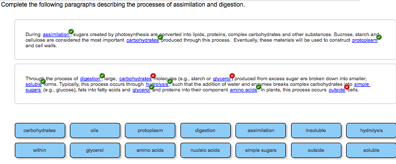Solved Complete the following paragraphs describing the | Chegg.com