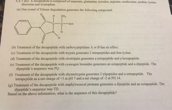 Solved A decapeptide is composed of aspartate, glutamine, | Chegg.com