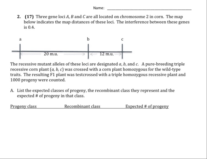Solved Three gene loci A, B and C are all located on | Chegg.com