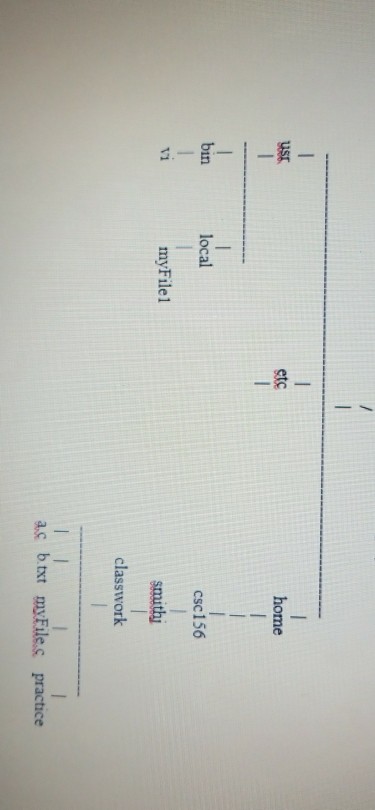Solved If your current working directory is your home, what | Chegg.com