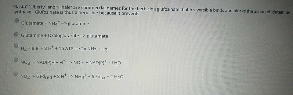 Solved For plant physiology, "Basta" "Liberty", and | Chegg.com