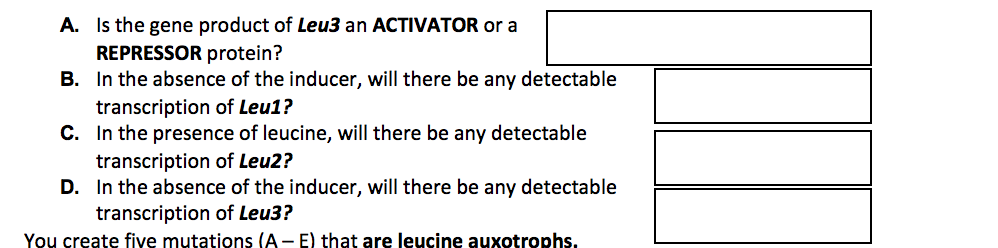 Solved The Leu operon (prokaryotic gene regulation) There | Chegg.com