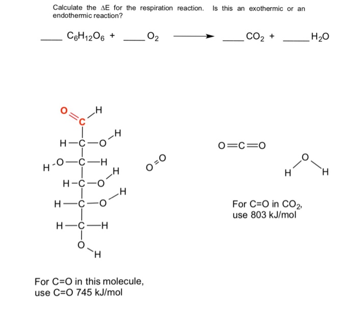Solved Calculate the Delta E for the respiration reaction. | Chegg.com