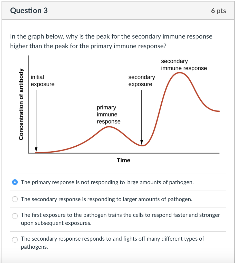 Immune Response Graph