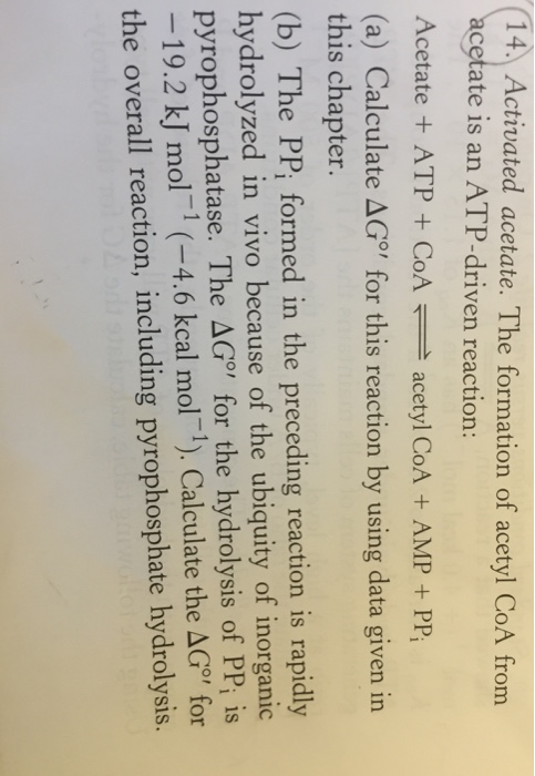 Solved the formation of acetyl CoA from acetate is an | Chegg.com
