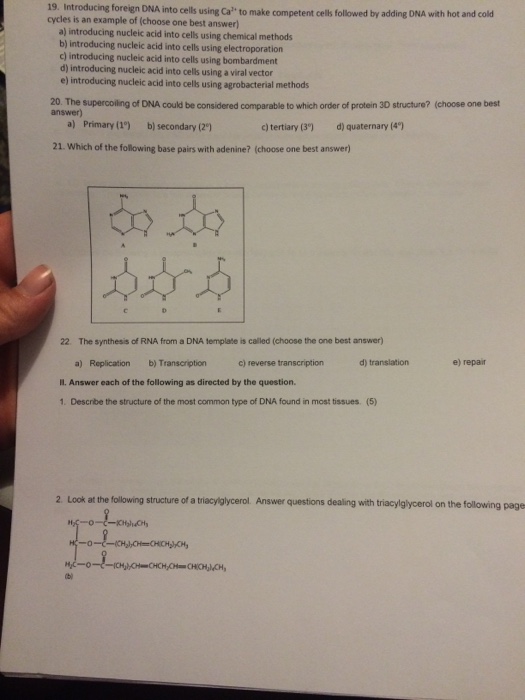 Solved Introducing foreign DNA into cells using Ca^2 to make | Chegg.com