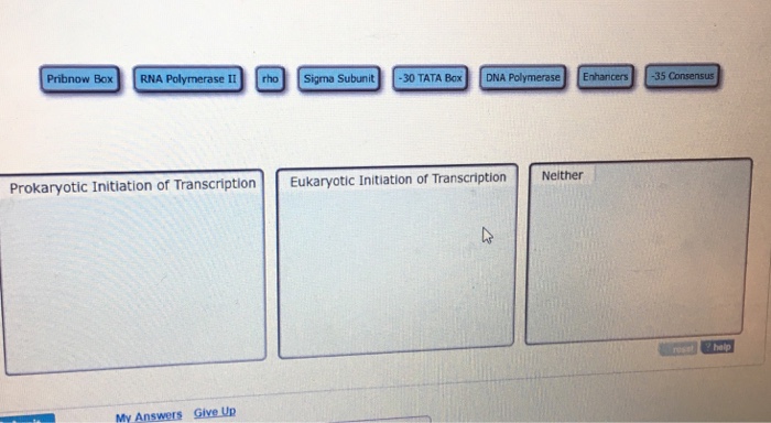 Solved Pribnow Box RNA Polymerase II rho Sigma Subunit 30 | Chegg.com