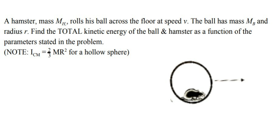 Solved A hamster, mass M rolls his ball across the floor at | Chegg.com