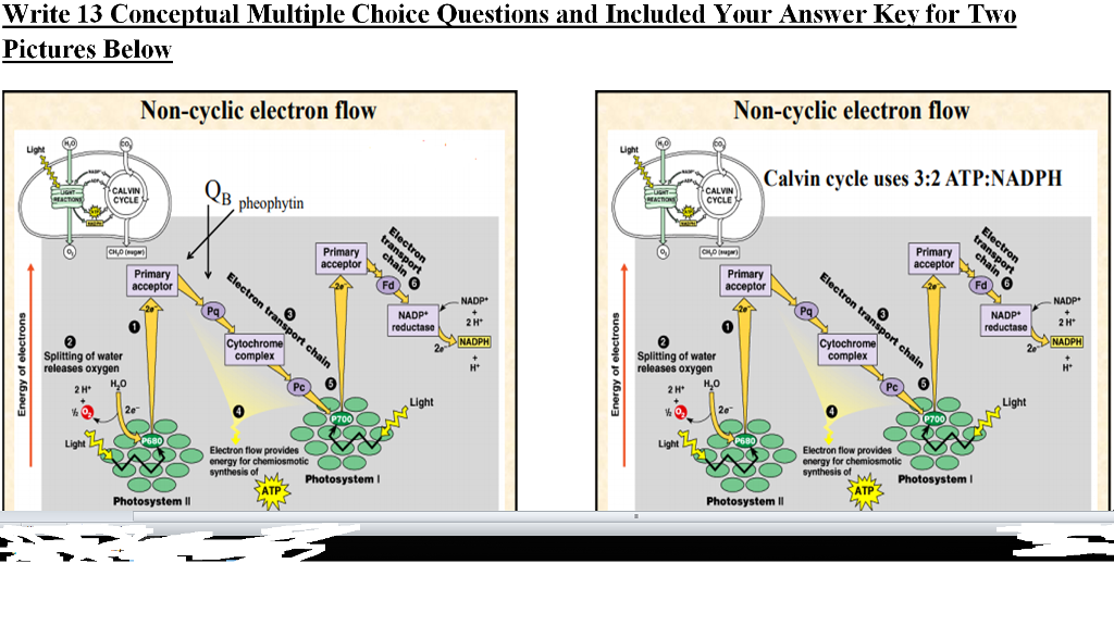 Solved Note: Write 13 Conceptual Multiple Choice Questions | Chegg.com