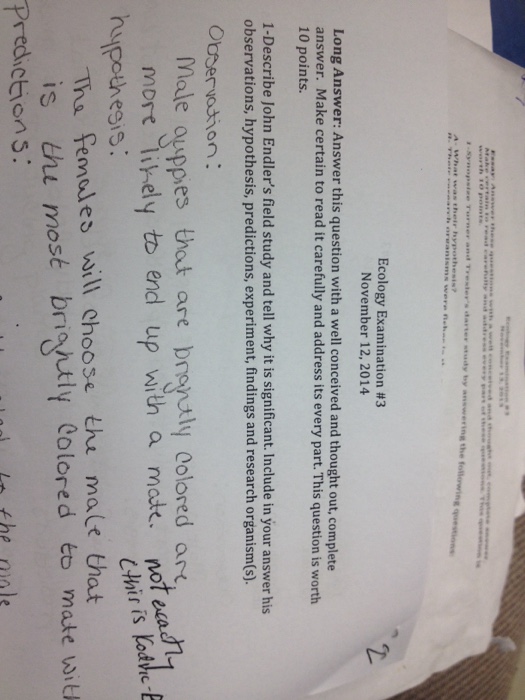 Solved Long Answer: Answer this question with a well | Chegg.com