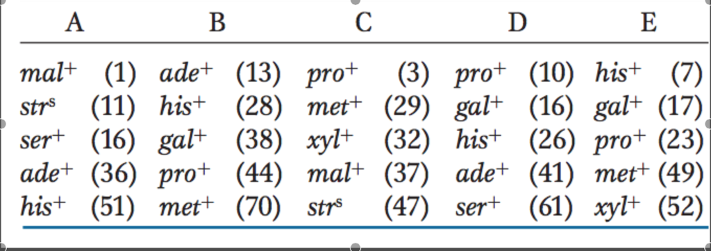 Solved 31. Five Hfr strains A through E are derived from a | Chegg.com