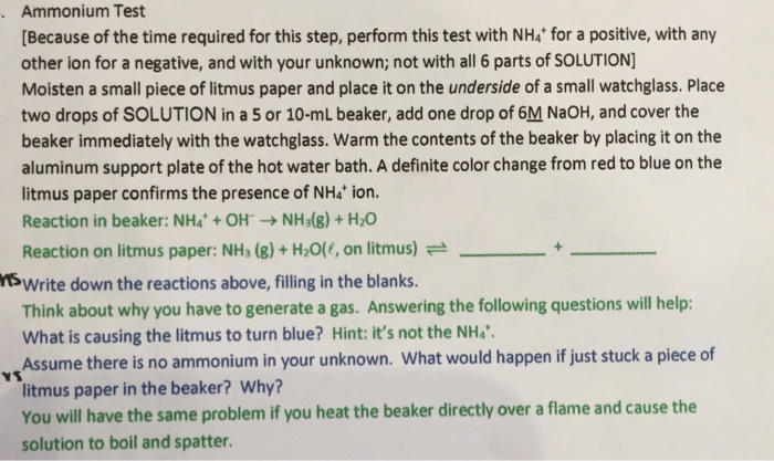 Solved Ammonium Test [Because of the time required for this | Chegg.com