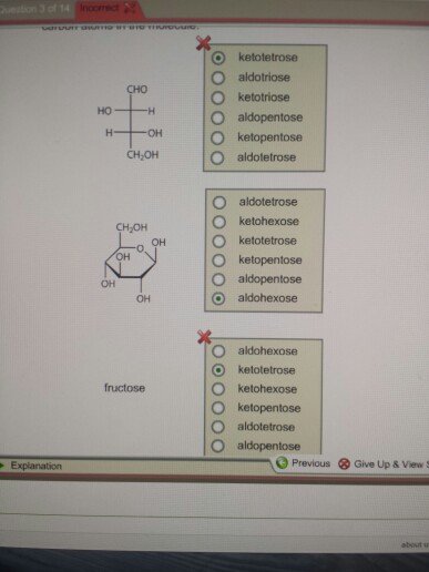Solved keloletrose aldotriose O ketotriose O aldopentose O | Chegg.com