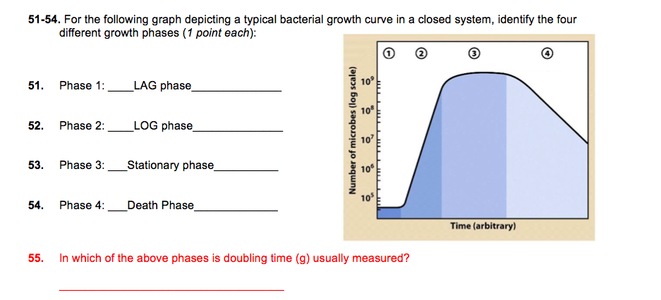 Solved 51-54. For the following graph depicting a typical | Chegg.com