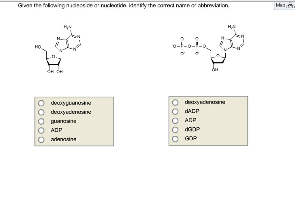 Solved Given the following nucleoside or nucleotide, | Chegg.com