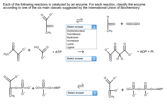 Solved Each of the following reactions is catalyzed by an | Chegg.com