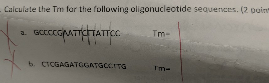 Solved Calculate the Tm for the following oligonucleotide | Chegg.com