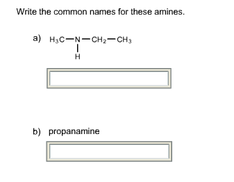 Solved: Write The Common Names For These Amines. | Chegg.com