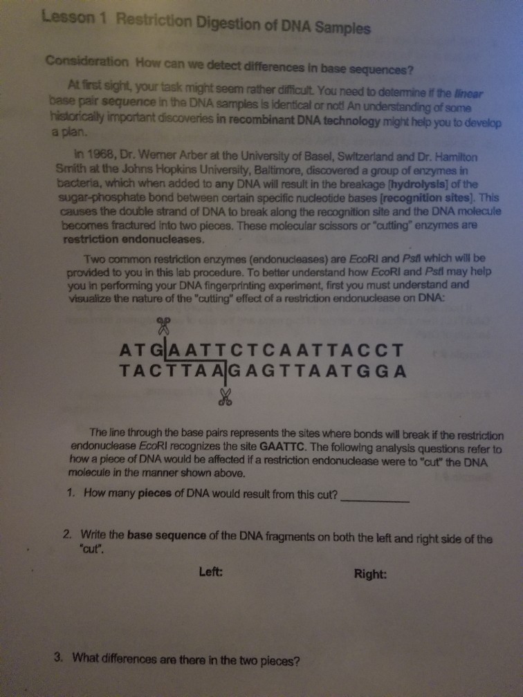 Solved Lesson 1 Restriction Digestion of DNA Samples | Chegg.com