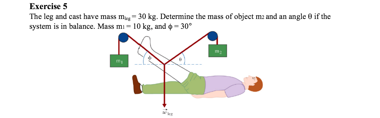 Solved The leg and cast have mass m_leg = 30 kg. Determine | Chegg.com