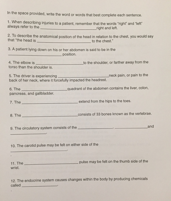 Solved In the space provided, write the word or words that | Chegg.com