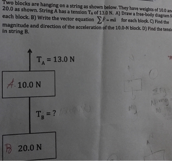 Solved Two blocks are hanging on a string as shown below. | Chegg.com