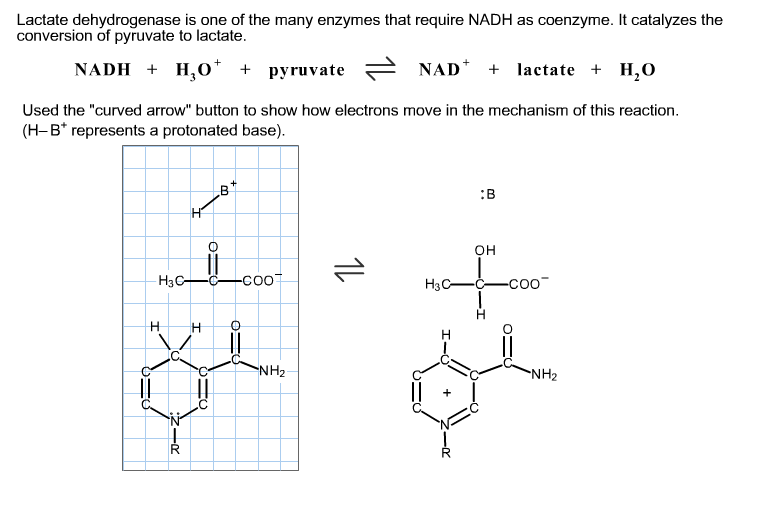 Solved Lactate dehydrogenase is one of the many enzymes that | Chegg.com