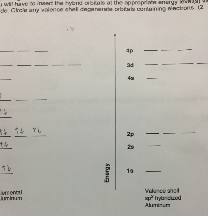 Solved help! please explain | Chegg.com