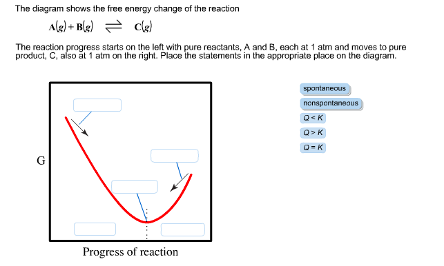 Solved The diagram shows the free energy change of the | Chegg.com