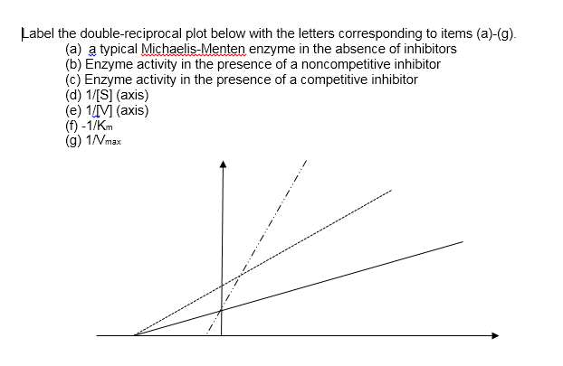 Solved Label the double-reciprocal plot below with the | Chegg.com