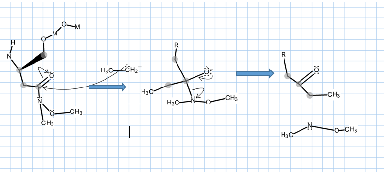 Solved O-M. CH3 CH3 O: CH3 H3C' H3 | Chegg.com