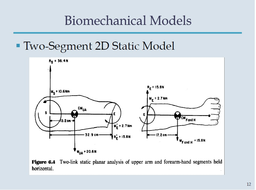 Solved Biomechanical Models - Two-Segment 2D Static Model Rs | Chegg.com