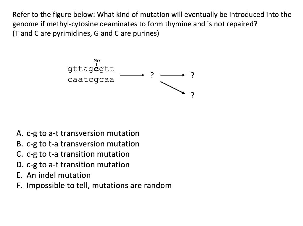 Solved Refer to the figure below: What kind of mutation will | Chegg.com