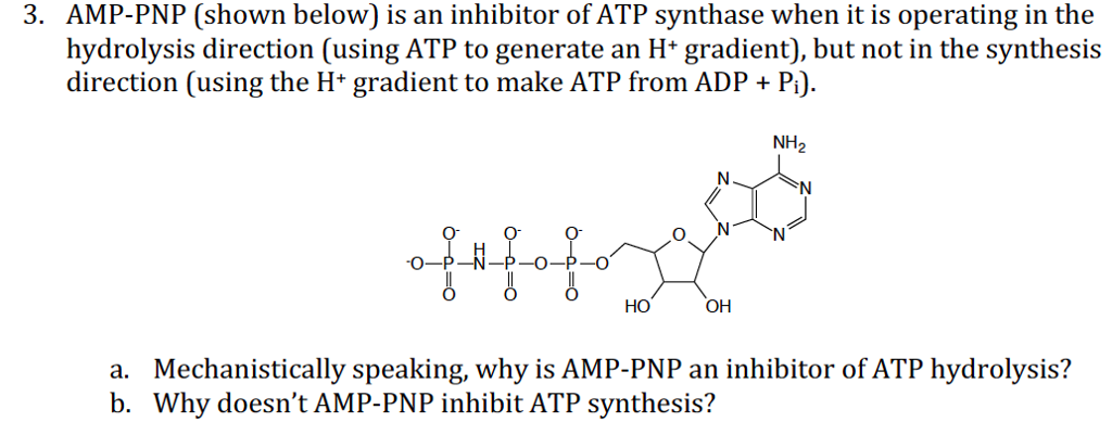 AMP-PNP (shown below) is an inhibitor of ATP synthase | Chegg.com