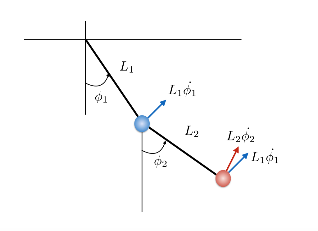 Solved Consider a double pendulum of the form shown in the | Chegg.com