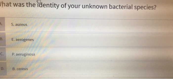 Solved What was the identity of your unknown bacterial | Chegg.com