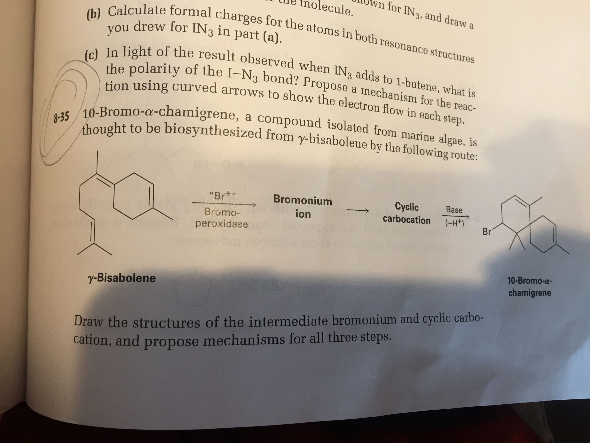 Solved 10-Bromo-alpha-chamigrene, a compound isolated from | Chegg.com