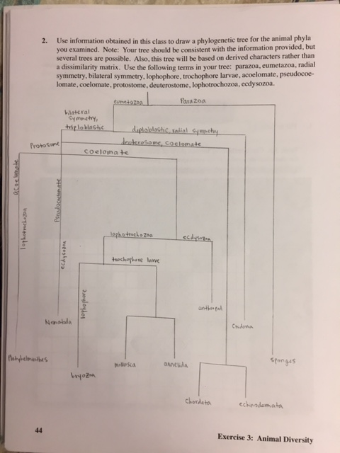 Solved The following are specific characteristics in certain | Chegg.com