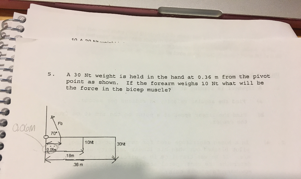 Solved A 30 Nt weight is held in the hand at 0.36 m from the | Chegg.com
