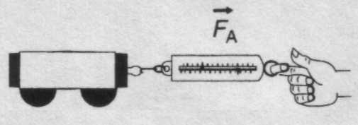 Solved (A)The spring scale in the diagram below reads 10.5N. | Chegg.com