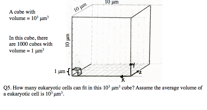 Solved I need help with question 1-9 on nested cubes for my | Chegg.com